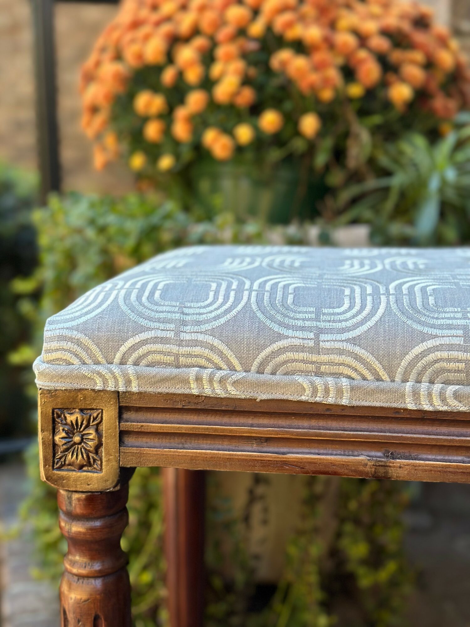 Conversations with Wendie Willis - Voyage South Carolina Magazine